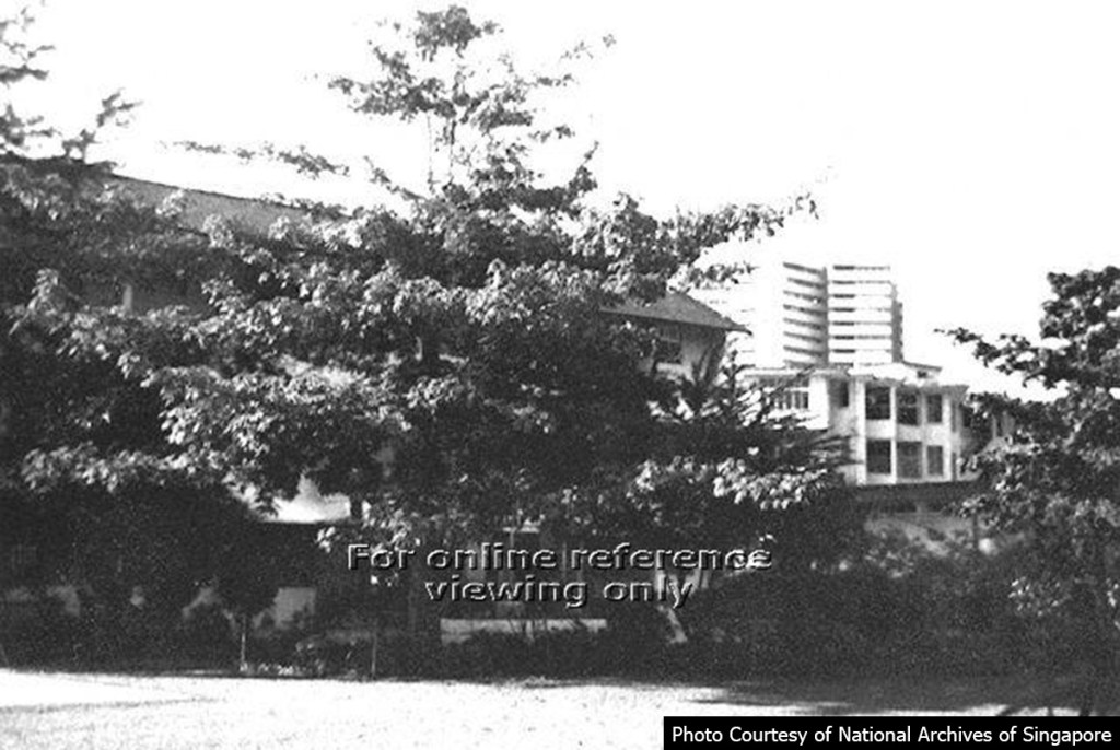 parry primary school | fionaseah.com